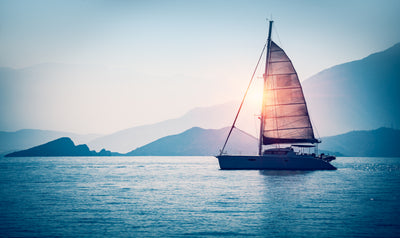 Your Shopping Cart – Ocean Silhouettes